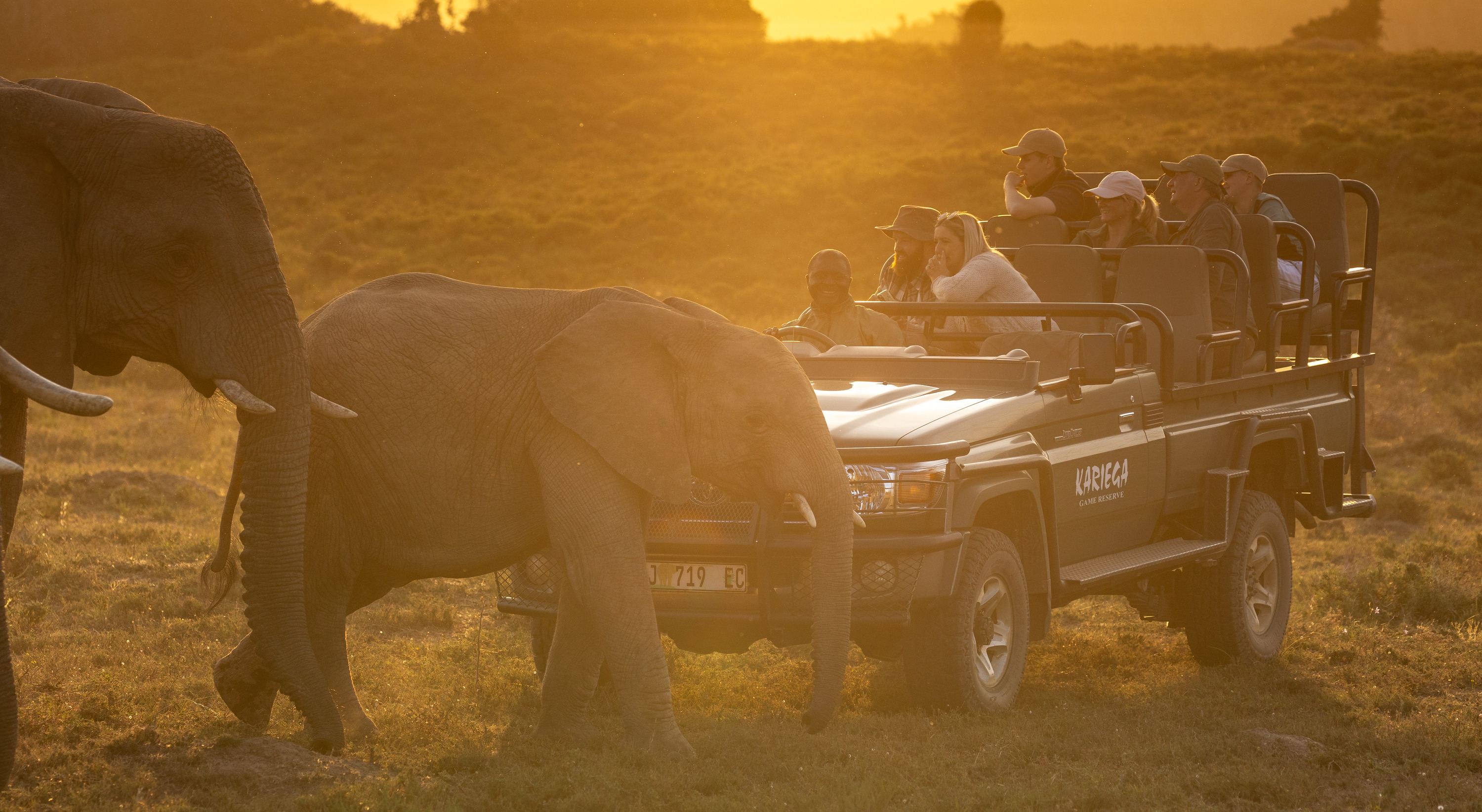Family-Friendly Safari Accommodation at Kariega Game Reserve